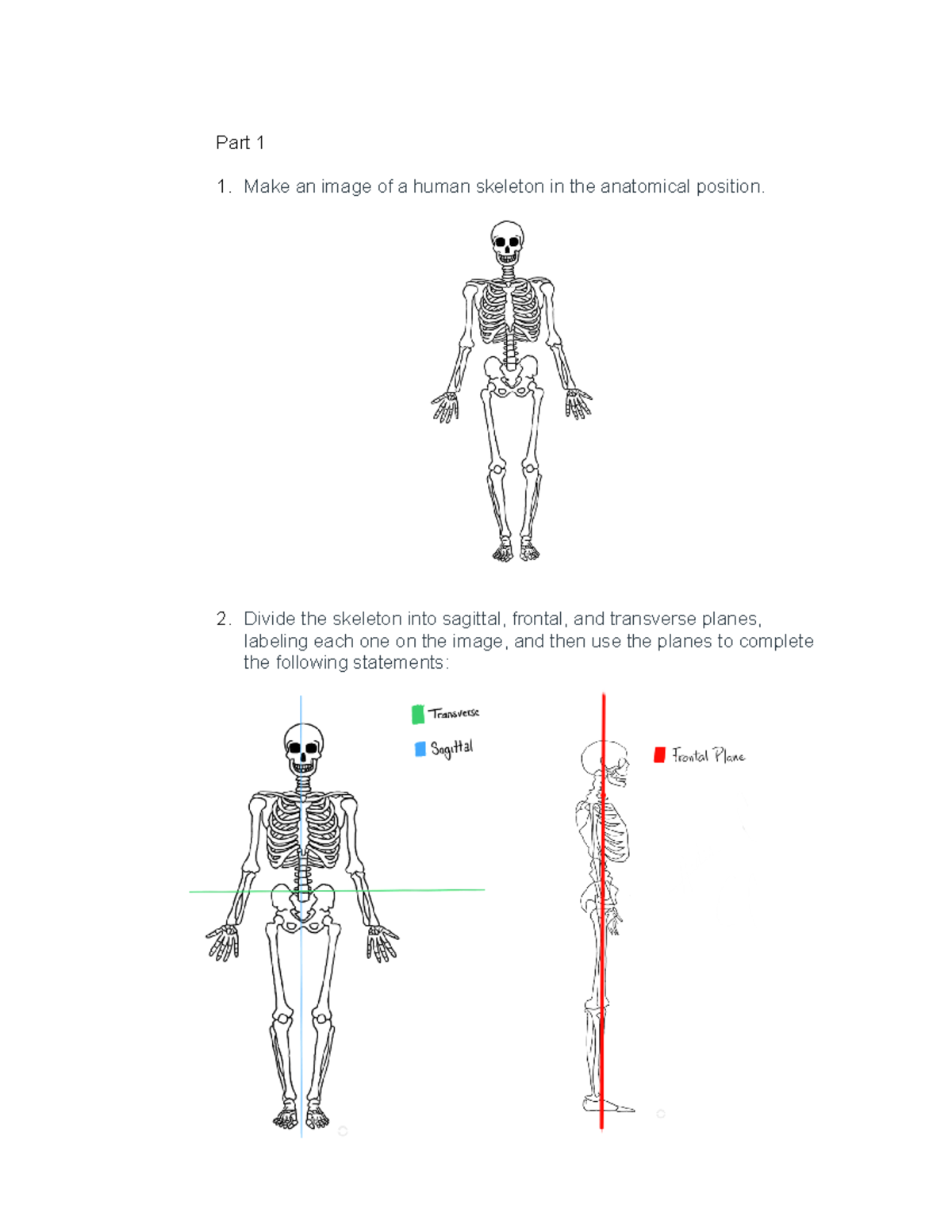 Activity 1 part 1 Human - Actividad 1 tema 1 - human body care ...