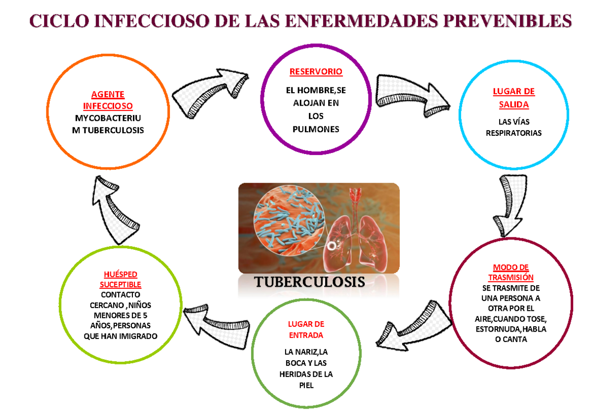 Asistencia EN Inmunizaciones - TUBERCULOSIS AGENTE INFECCIOSO ...