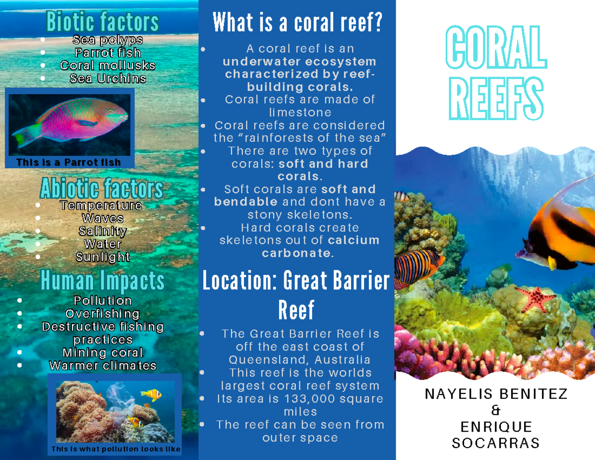 Brochure - The Great Barri er Reef is of f t he east coast of Queensl ...