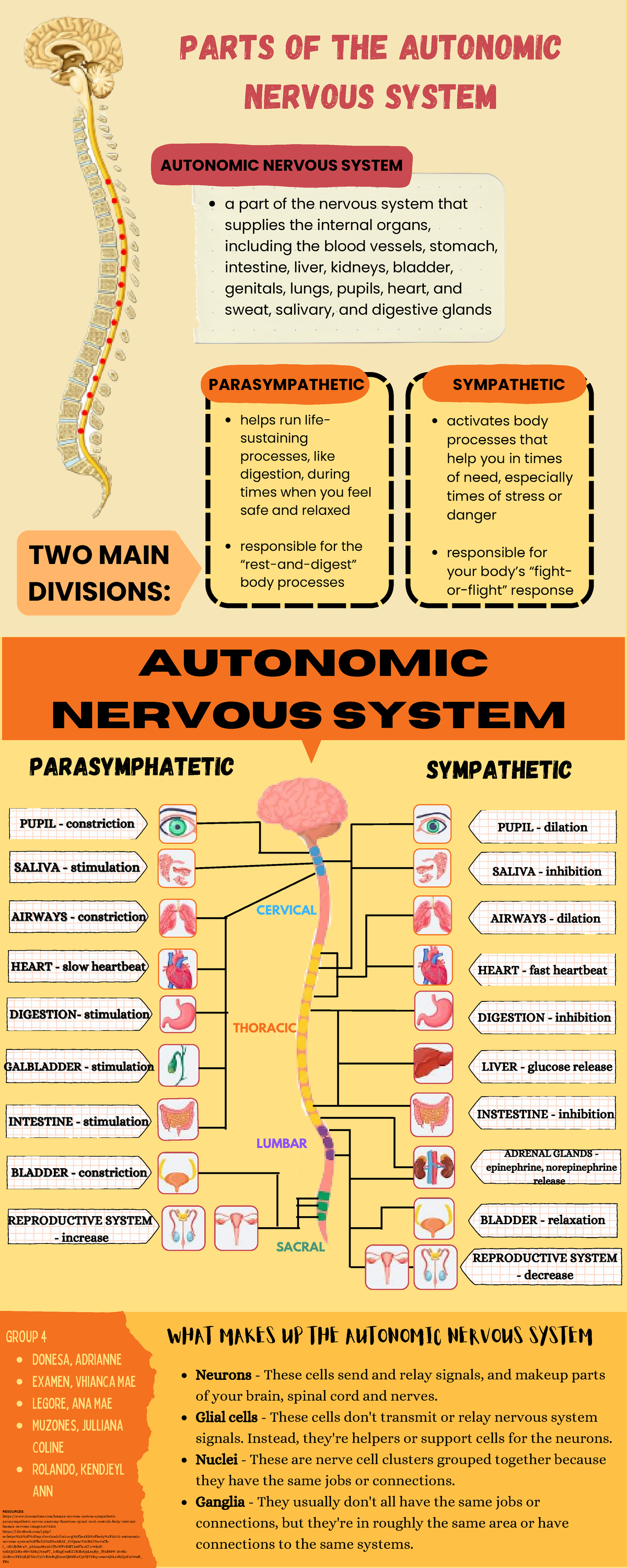 Group 4, MLS 1E, MLS2 Module 3 - AUTONOMIC NERVOUS SYSTEM PUPIL ...