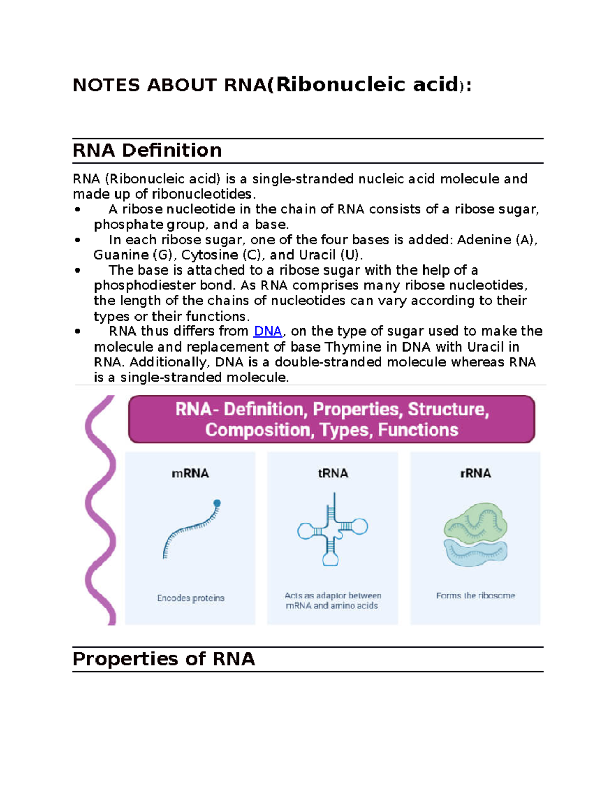 RNA note - Lecture notes 5 - NOTES ABOUT RNA(Ribonucleic acid ) : RNA ...