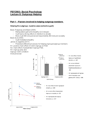 Self-categorisation theory - Self-Categorisation Theory Social ...