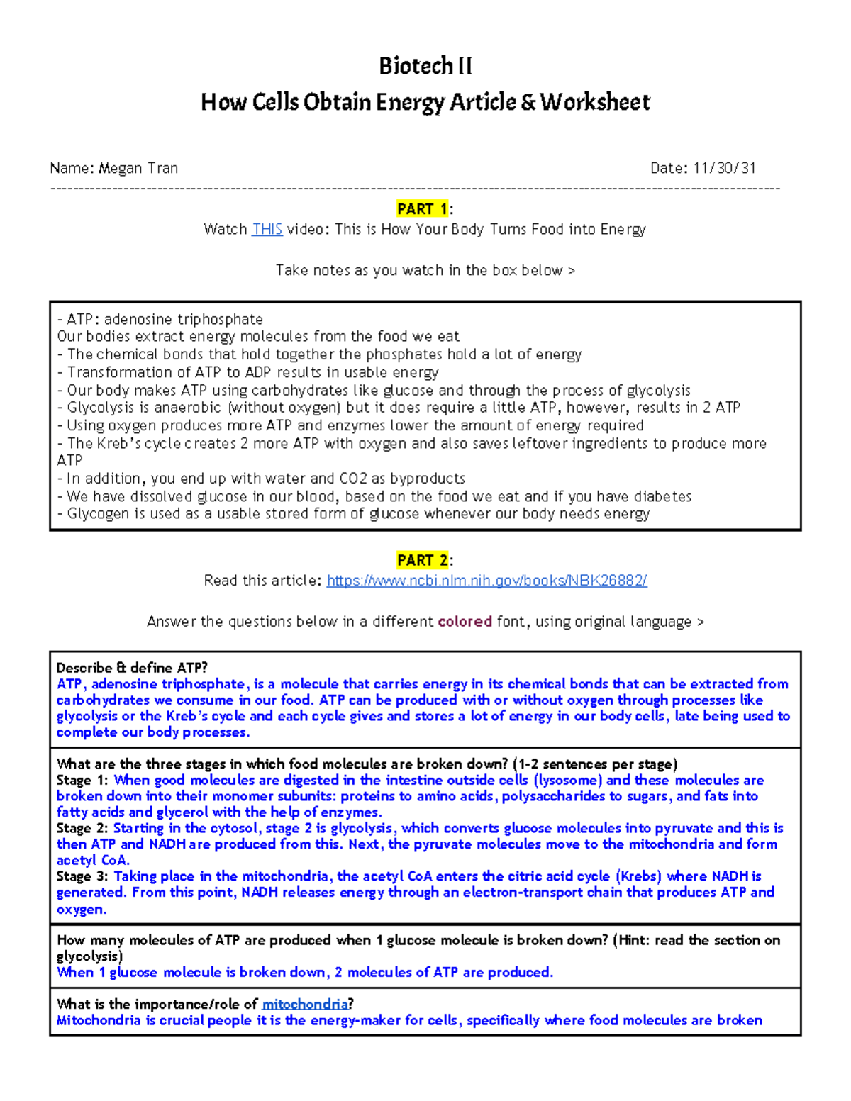 How Cells Obtain Energy Worksheet - Biotech II How Cells Obtain Energy ...