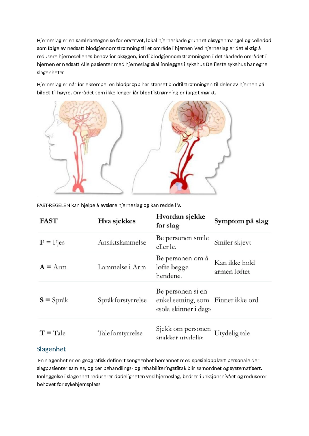 Plag 2 - Plag 2 - Hjerneslag er en samlebetegnelse for ervervet, lokal ...