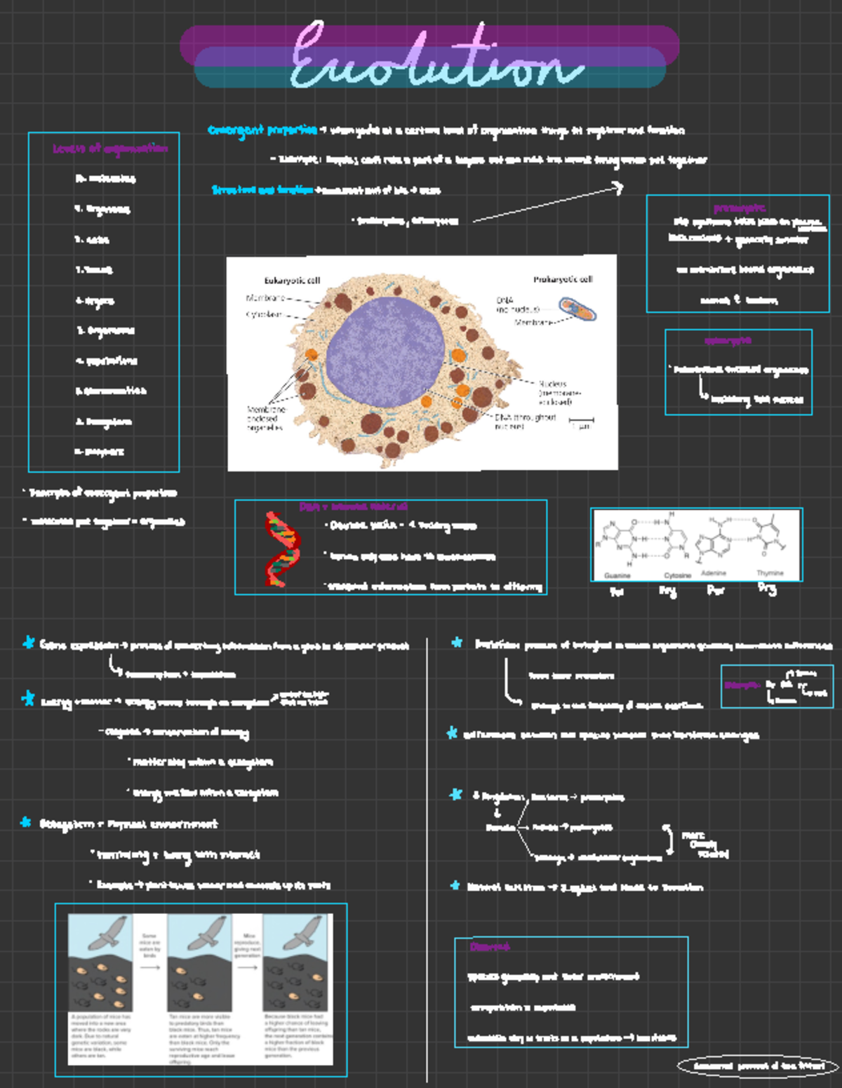 Bio 131 - Introduction to Cells - Togna - Evolution emergent properties ...