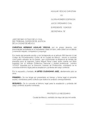 Modelo de solicitud de embargo precautorio como medida cautelar ...