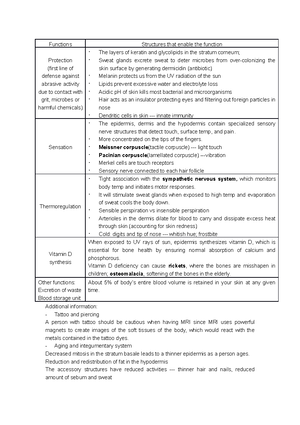 A&P - 4.3 Muscle Tissue - notes - 4 MUSCLE TISSUE CONTENTS: 1. SKELETAL ...