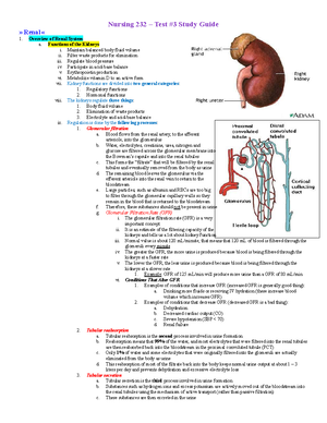 Neuro-HARD - A nurse names 3 objects for the client to remember, asks ...
