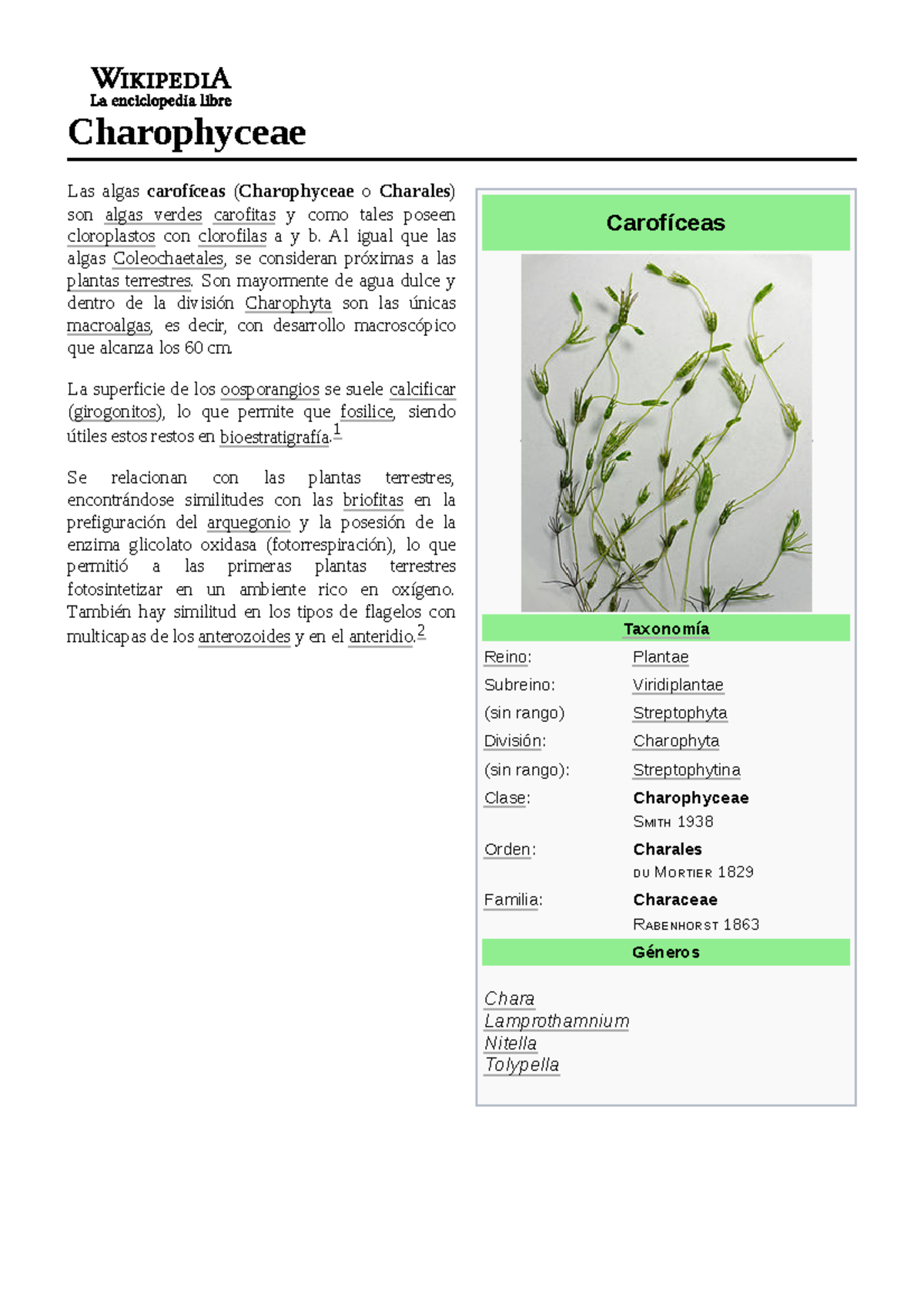 Charophyceae - Universidad tecnologica - Carofíceas Taxonomía Reino ...