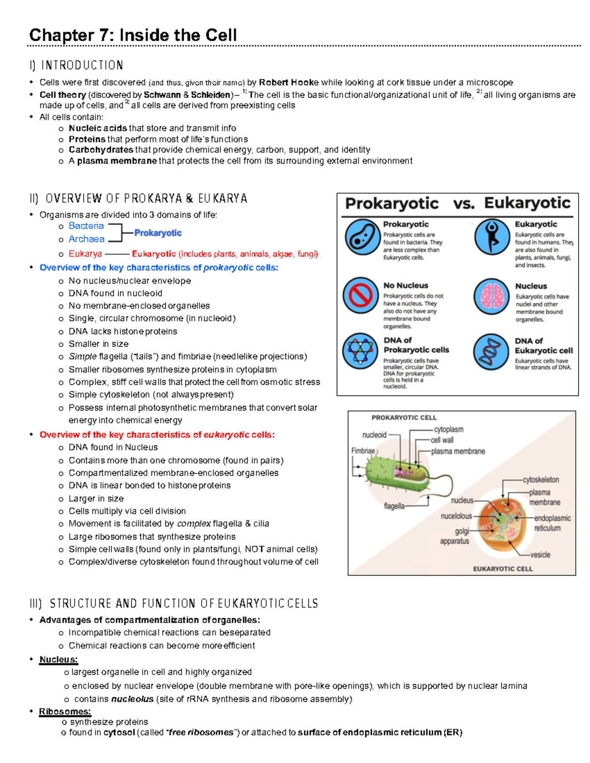 Ch. 7 Study Guide - Inside the Cell - Chapter(7:(Inside(the(Cell( ( I ...