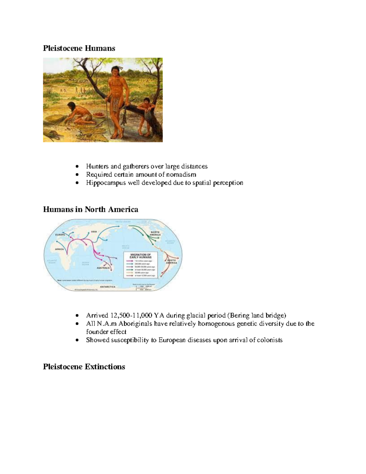 BIO1300: Human Evolution Pt.3 - Pleistocene Humans Hunters and ...
