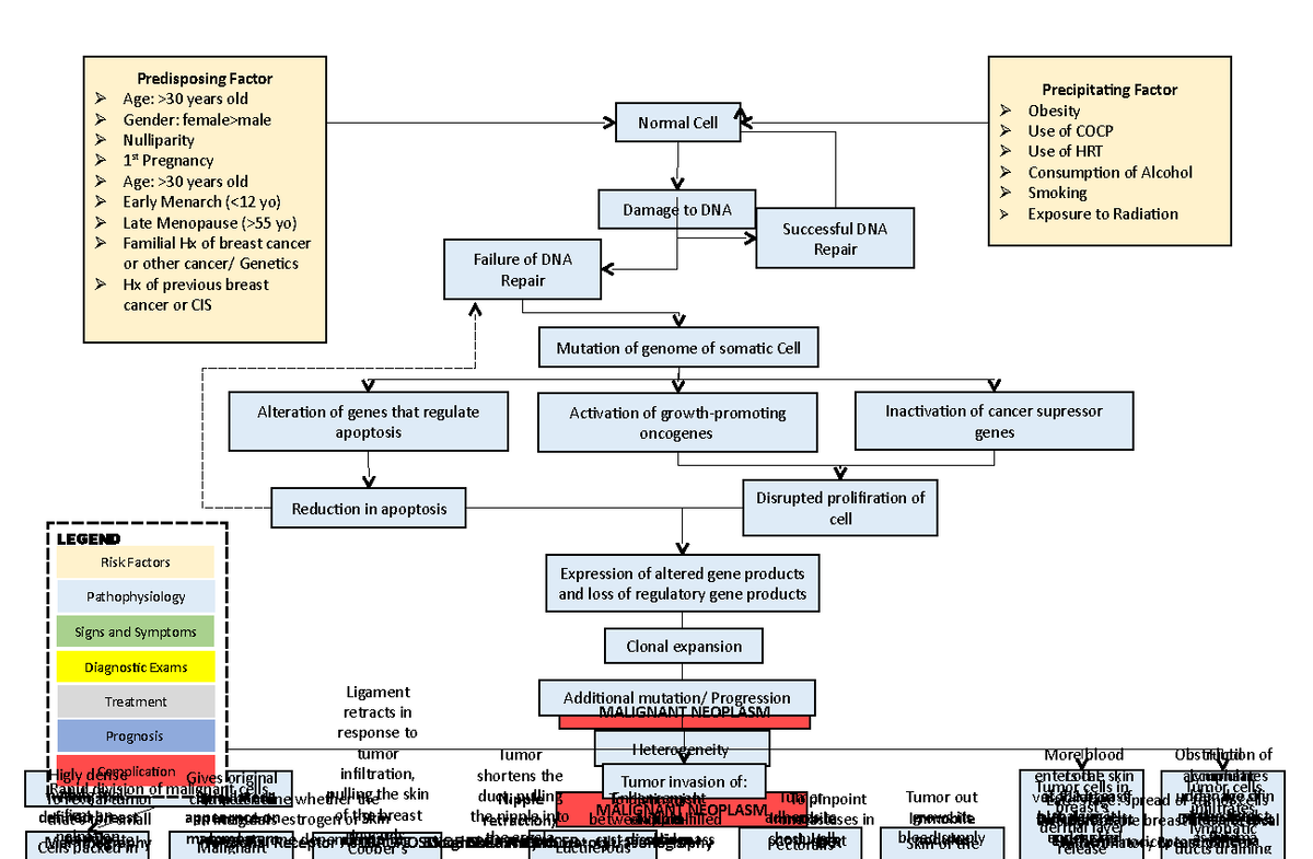 Breast Cancer Concept Map - Precipitating Factor Obesity Use of COCP ...