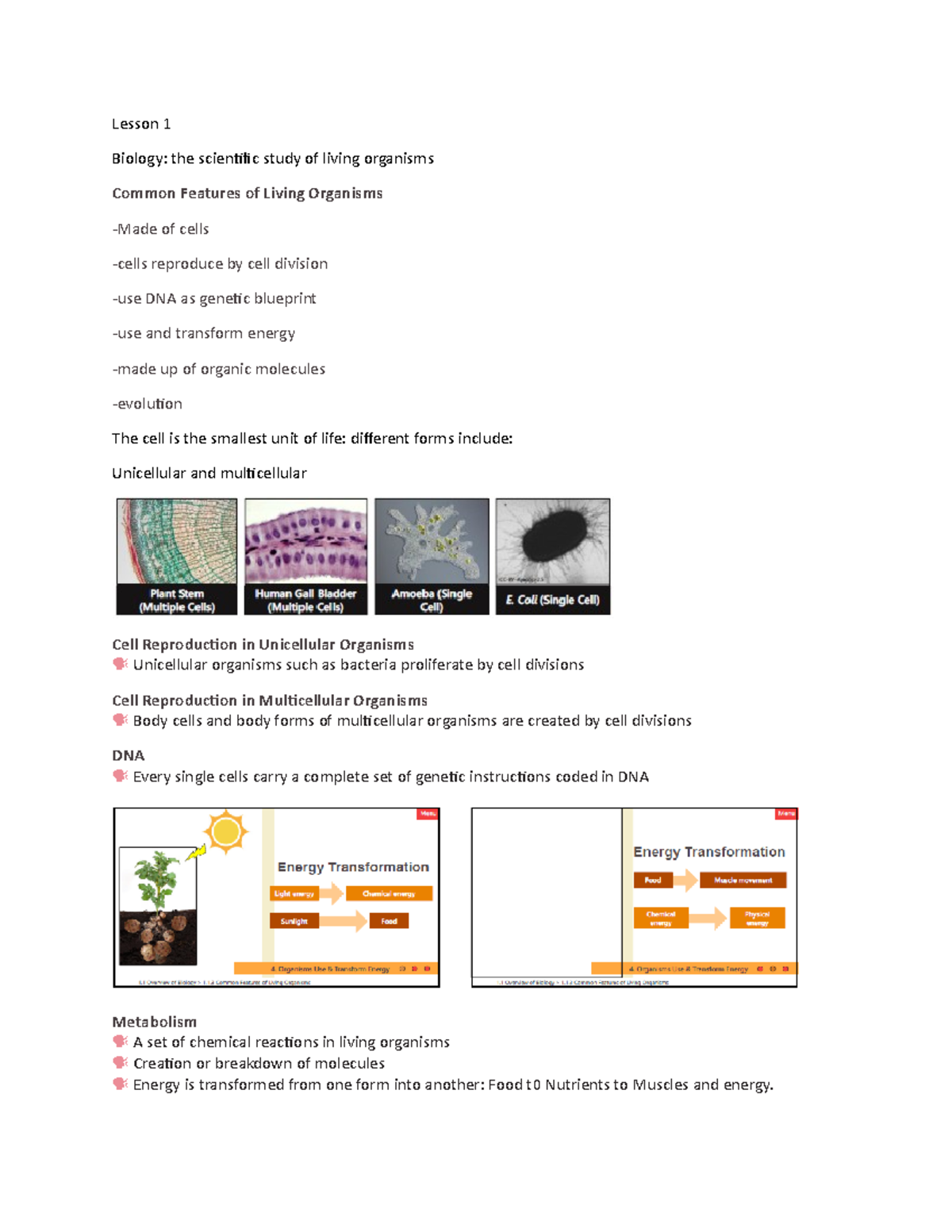 Lesson 1 - notes - Lesson 1 Biology: the scientific study of living ...