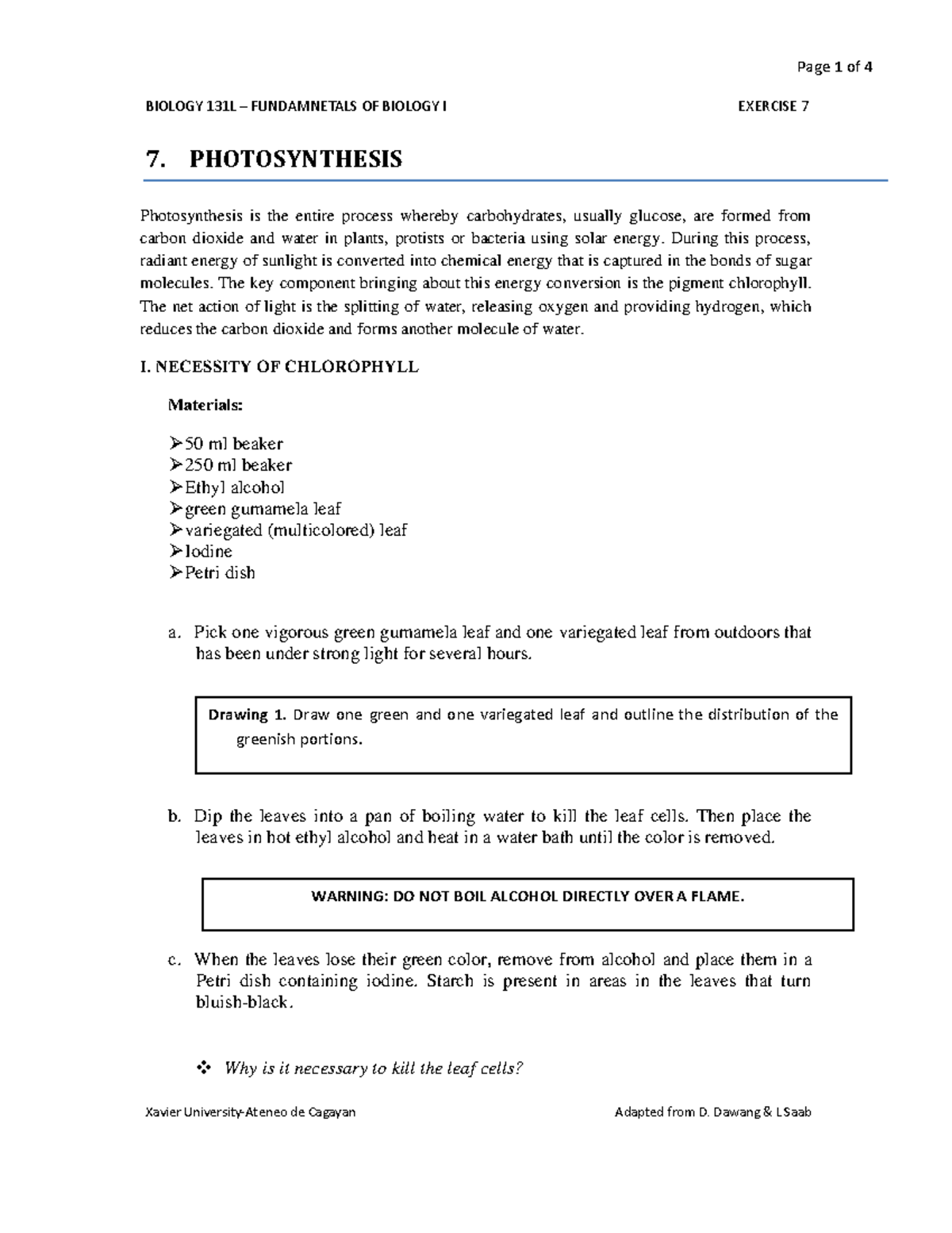 Photosynthesis Experiment - BIOLOGY 131L – FUNDAMNETALS OF BIOLOGY I ...