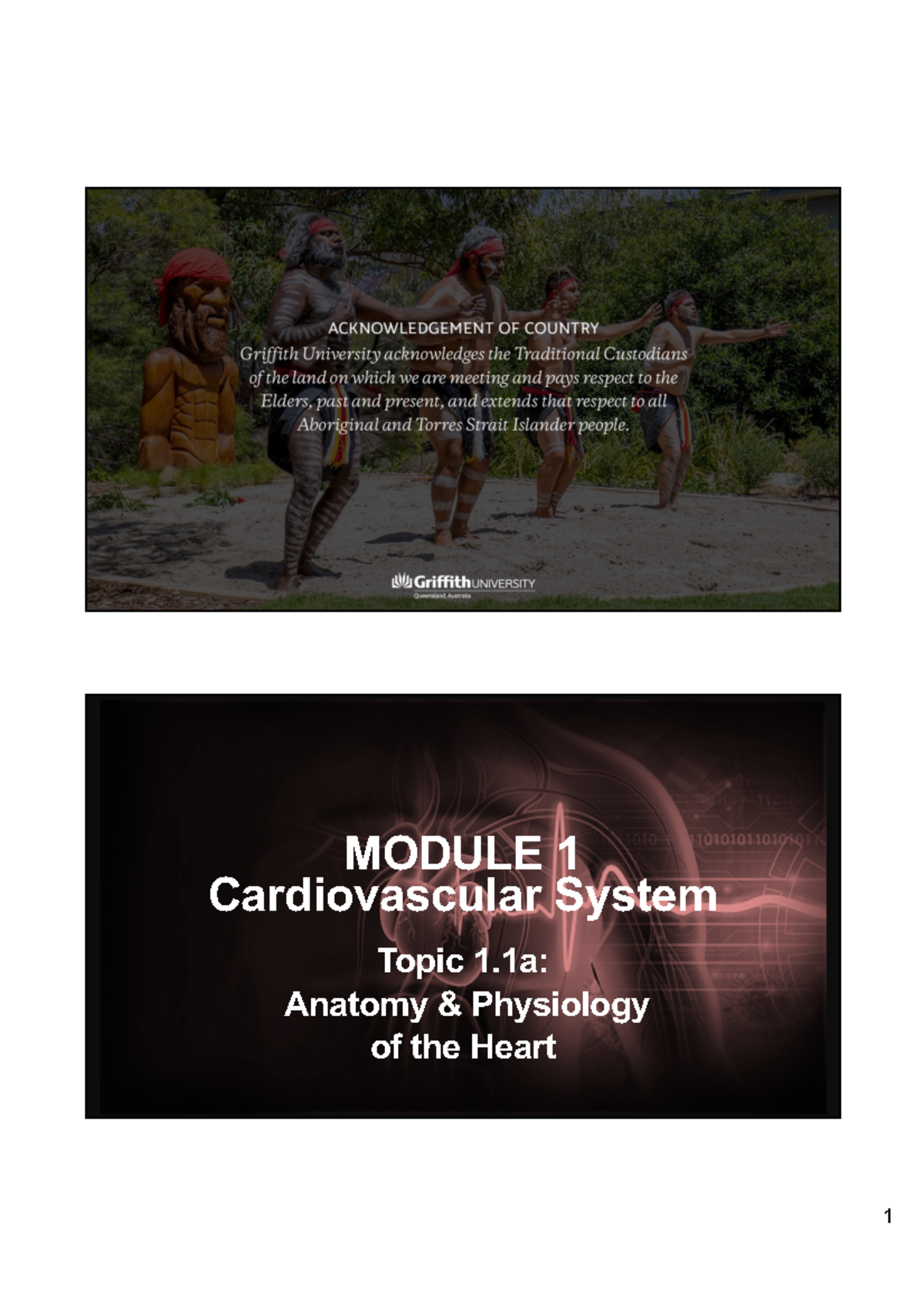 Cardio slides Notes - Topic 1: Anatomy & Physiology of the Heart MODULE ...