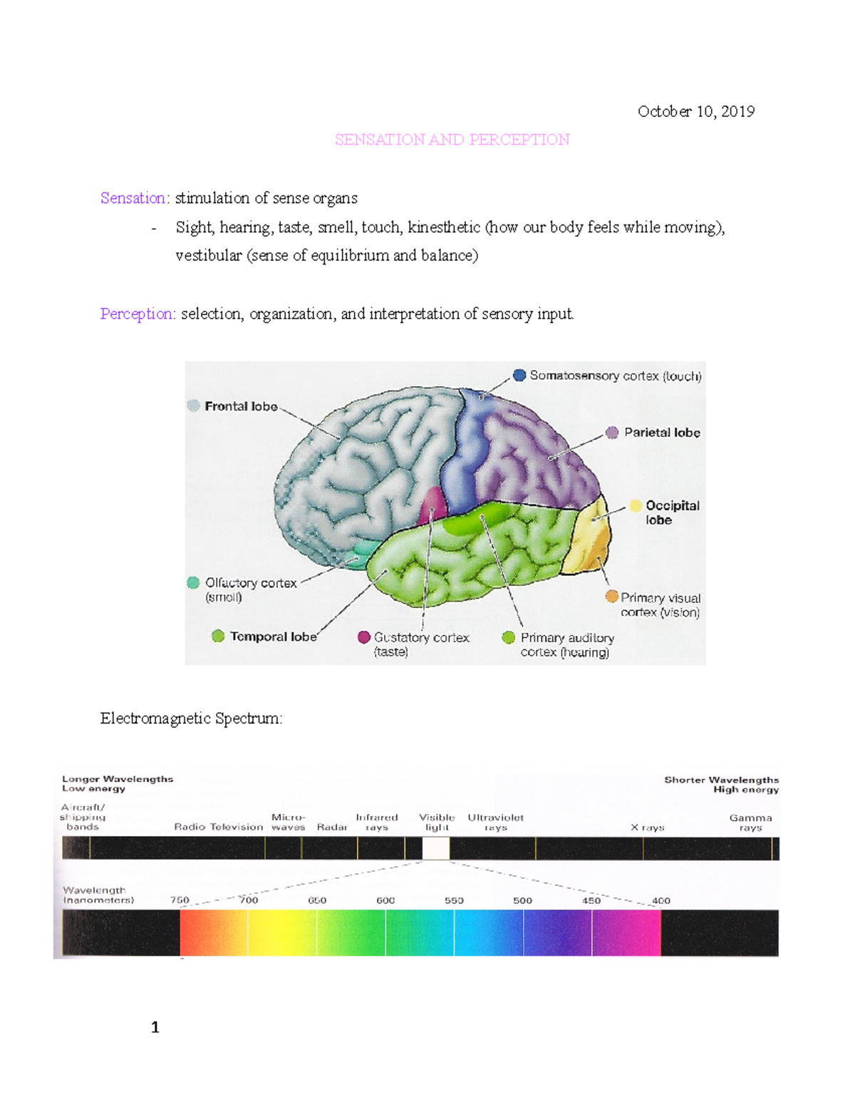 Chapter 4 - Sensation AND Perception - October 10, 2019 SENSATION AND ...