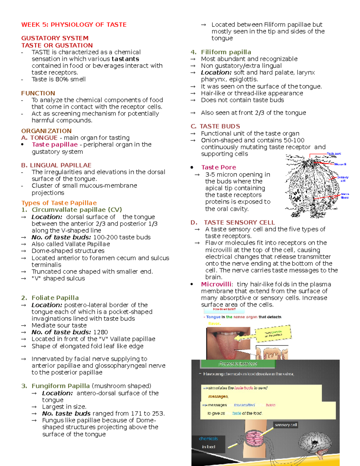 WEEK 5-DOPH- Taste - WEEK 5: PHYSIOLOGY OF TASTE GUSTATORY SYSTEM TASTE ...