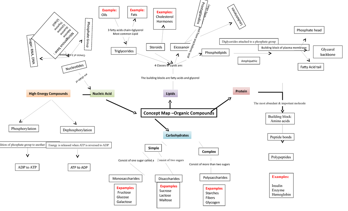 Organic Compound Map - The most abundant & important molecule Consist ...