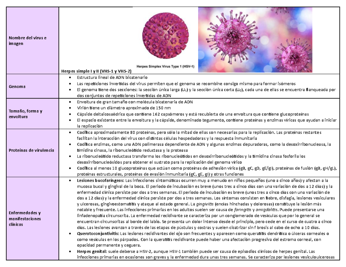 Herpes simple I y II (VHS-1 y VHS-2) - Nombre del virus e imagen Herpes ...