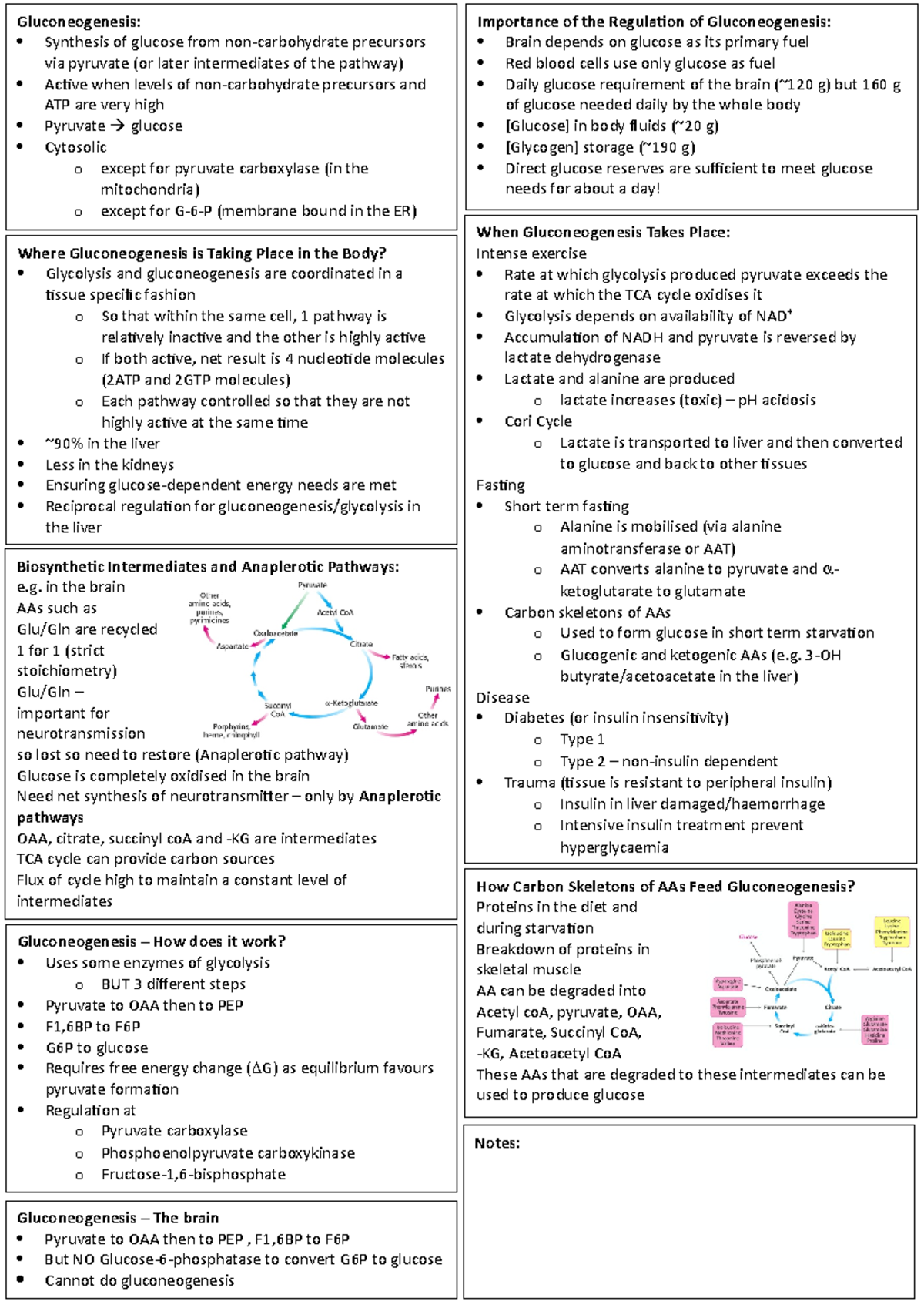 PPP Pathway - Biosynthetic Intermediates and Anaplerotic Pathways: e ...