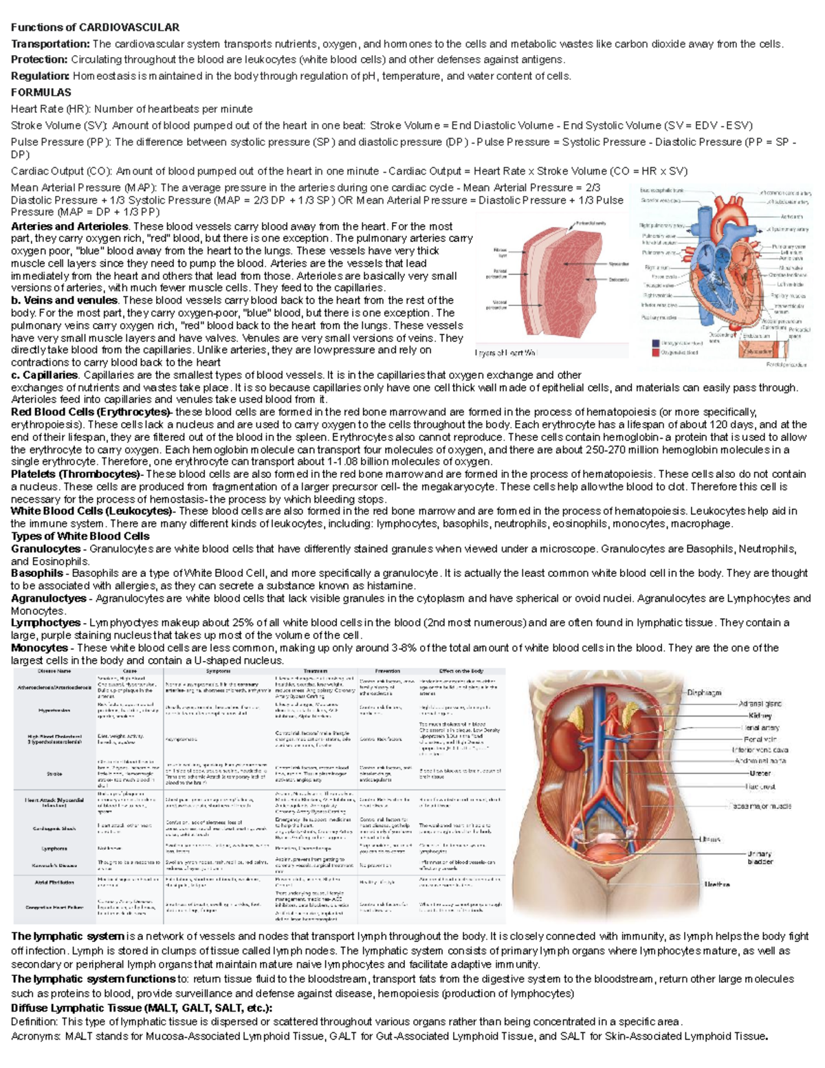 Anatomy%20cheat%20sheet - Functions of CARDIOVASCULAR Transportation ...