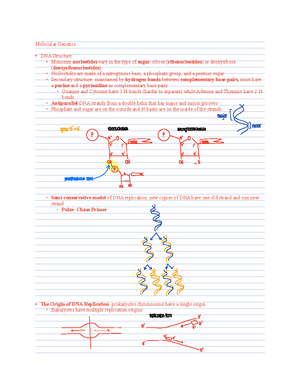 Cell Organization Worksheet - Cellular Organization Worksheet Advanced ...