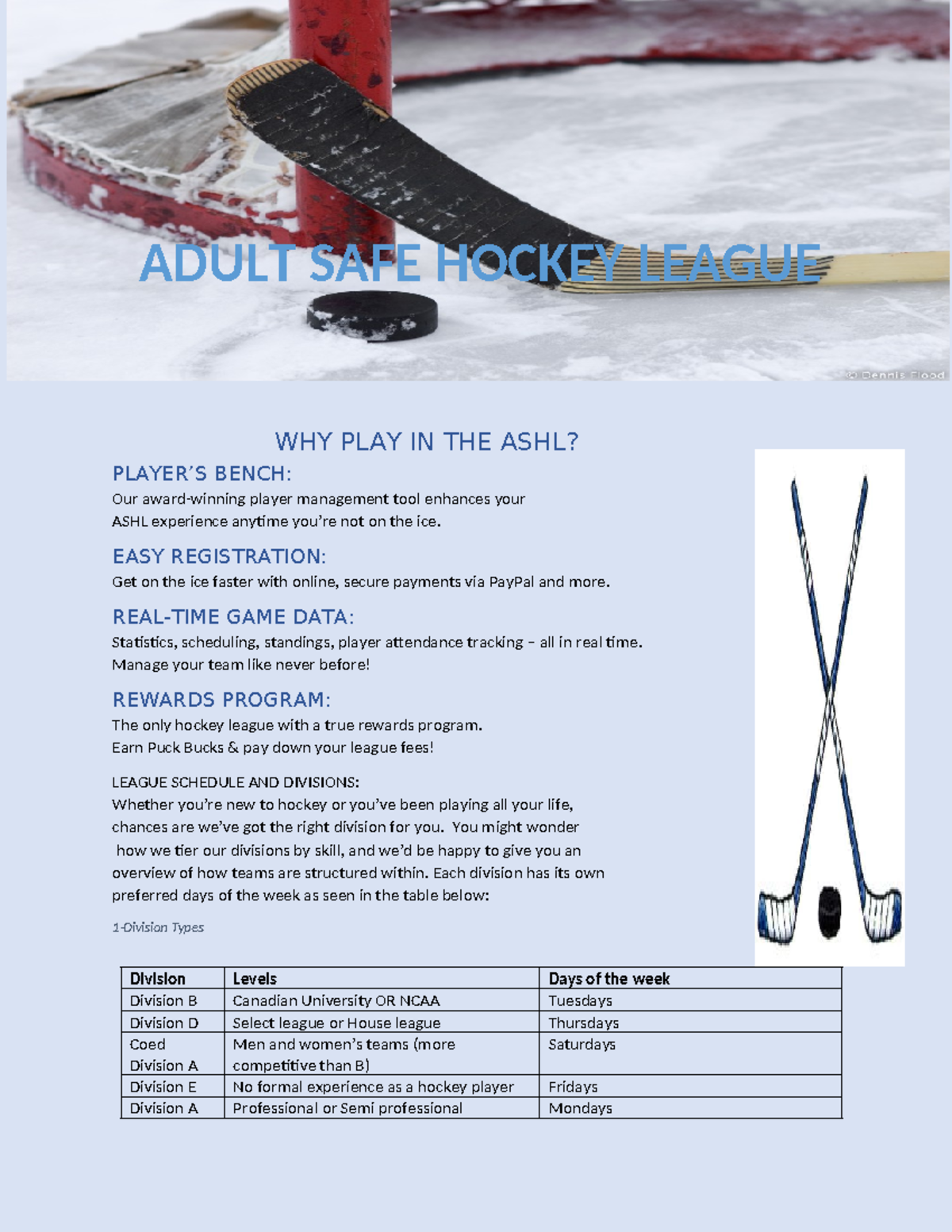 WHY PLAY IN THE ASHL - ... - WHY PLAY IN THE ASHL? PLAYER’S BENCH: Our ...