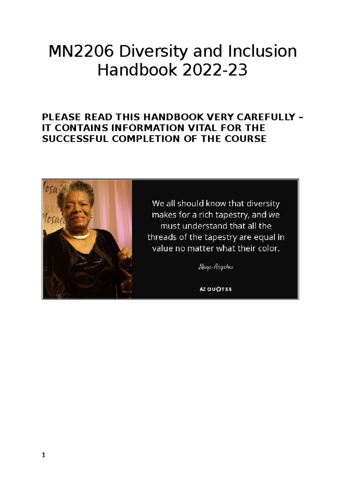 MN2206 Diversity Inclusion Module Guide 2022-2023 Final - MN2206 ...