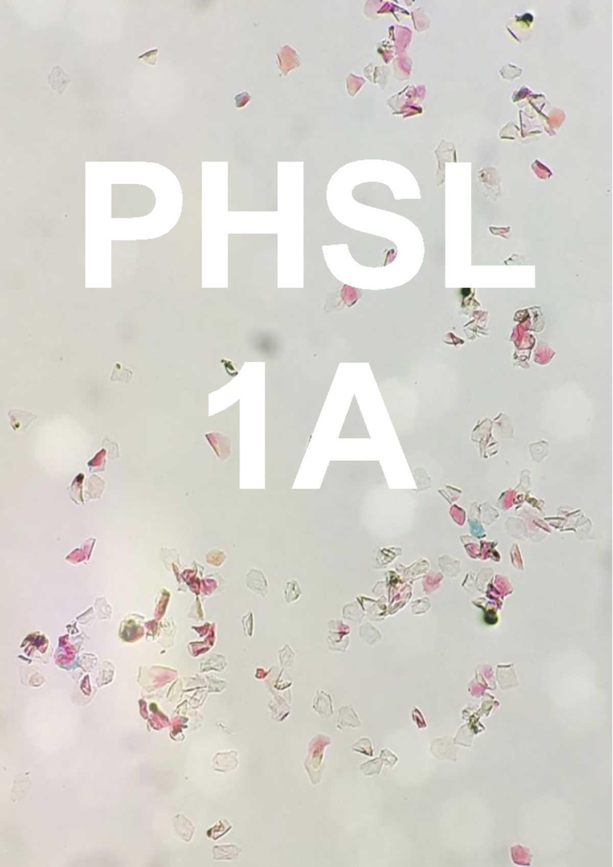 PHSL2201 finals notes - respiratory-renal - PHSL 1A respiration system ...