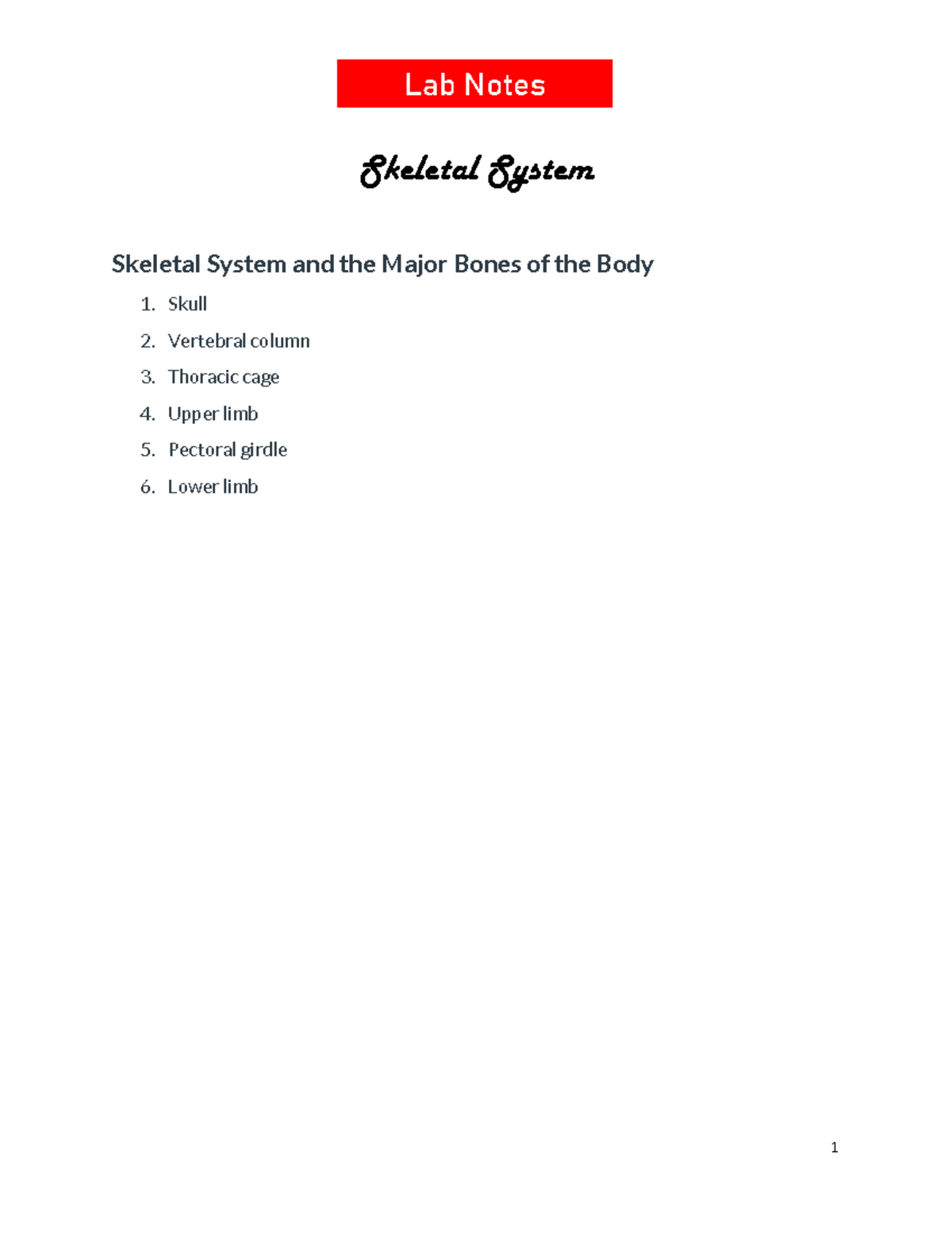 Skeletal System Lab notes - Anatomy and Physiology - Skeletal System ...