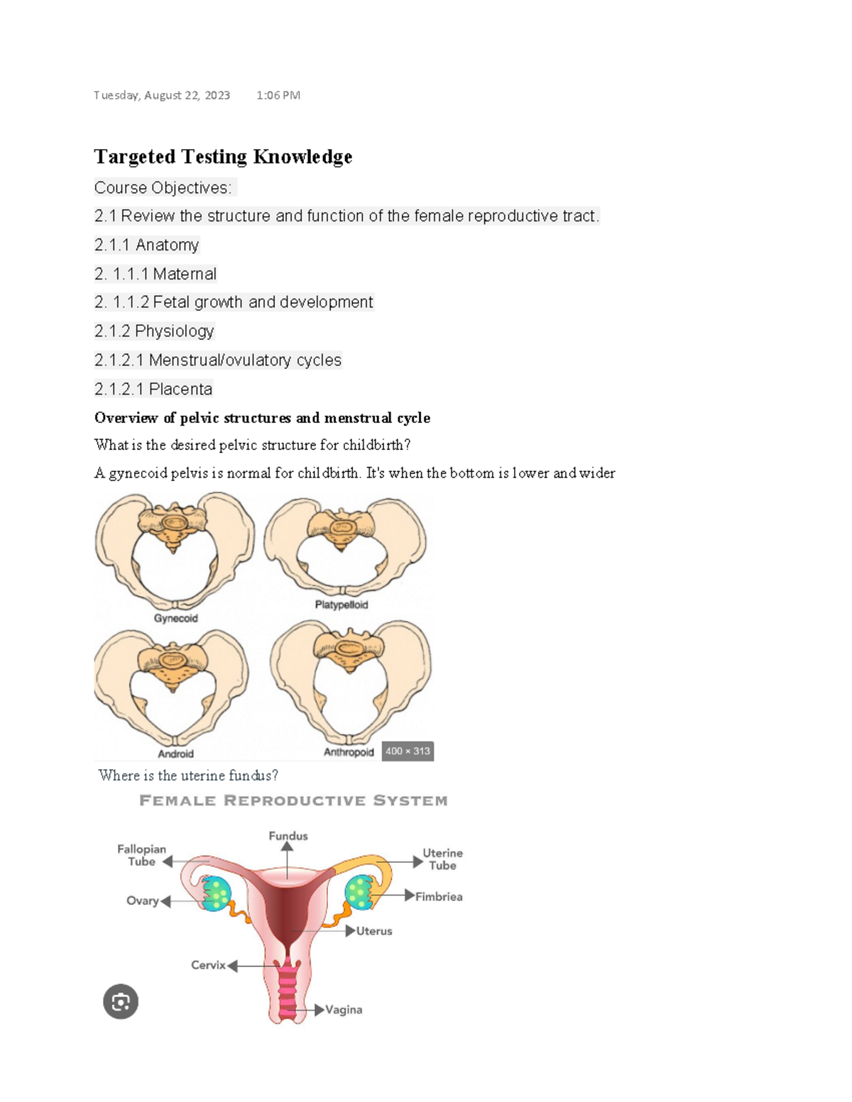 OBreview, 8222023 - ... - Targeted Testing Knowledge Course Objectives ...