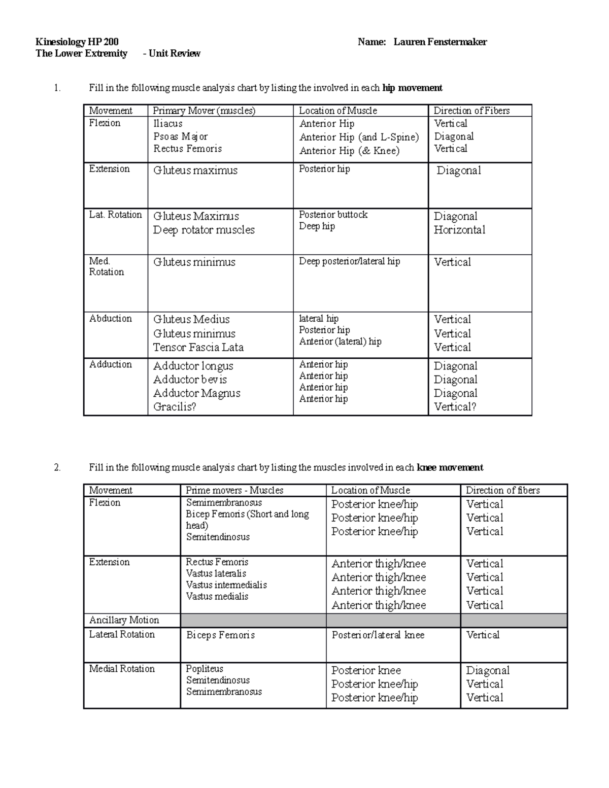 LE Muscle Study Guide - Kinesiology HP 200 Name: Lauren Fenstermaker ...