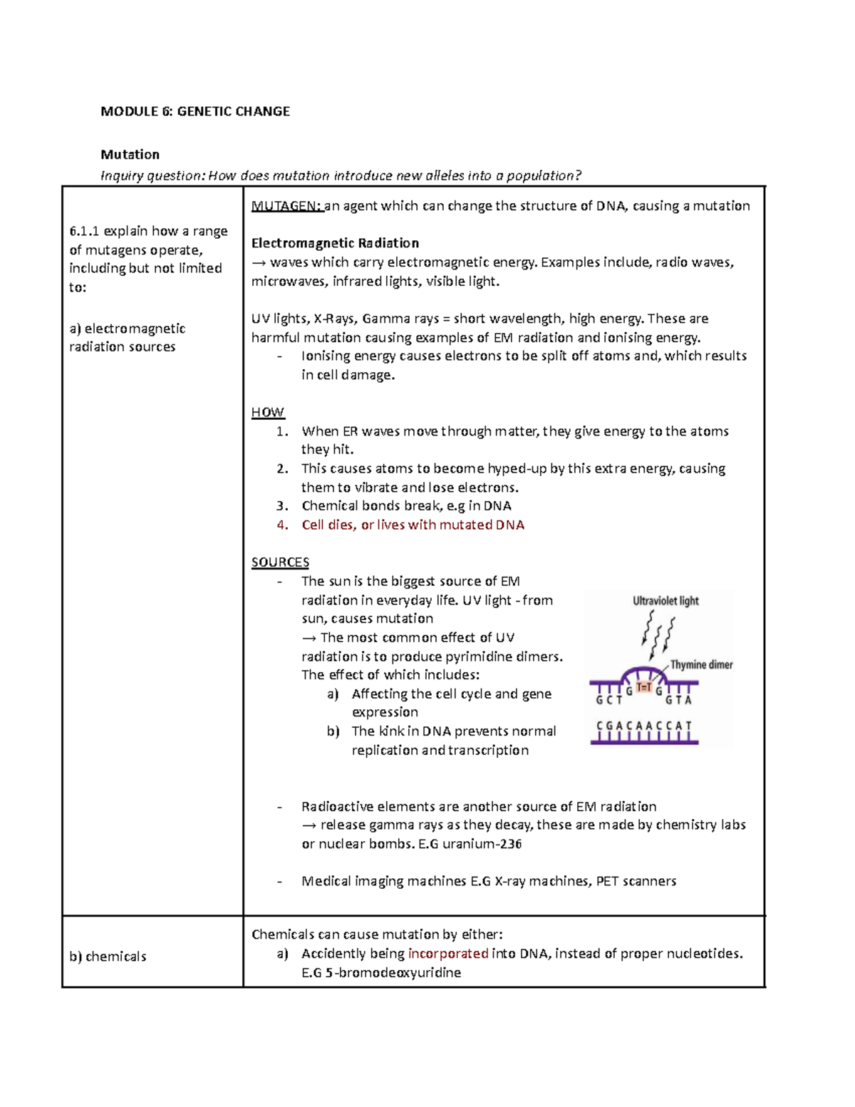 BIO MOD 6 - Genetic Change - MODULE 6: GENETIC CHANGE Mutation Inquiry ...