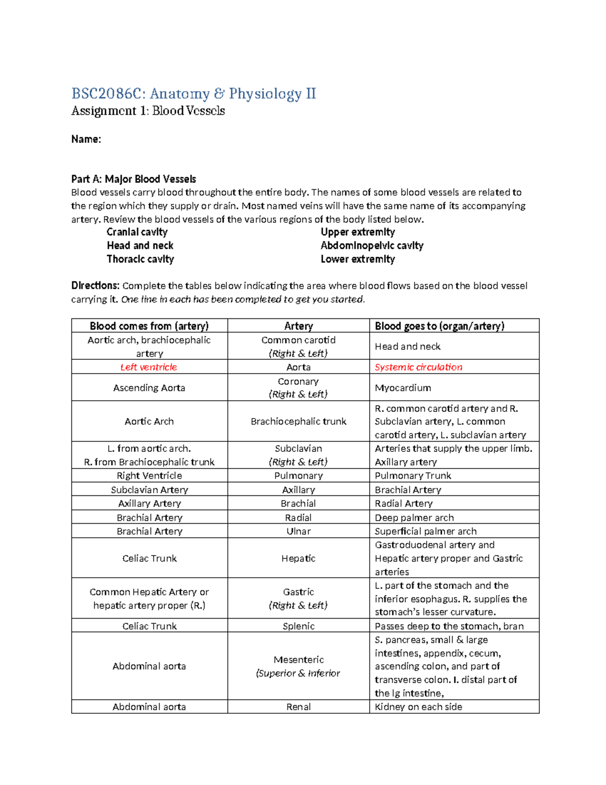 Assignment 1 Blood Vessels - BSC2086C: Anatomy & Physiology II ...