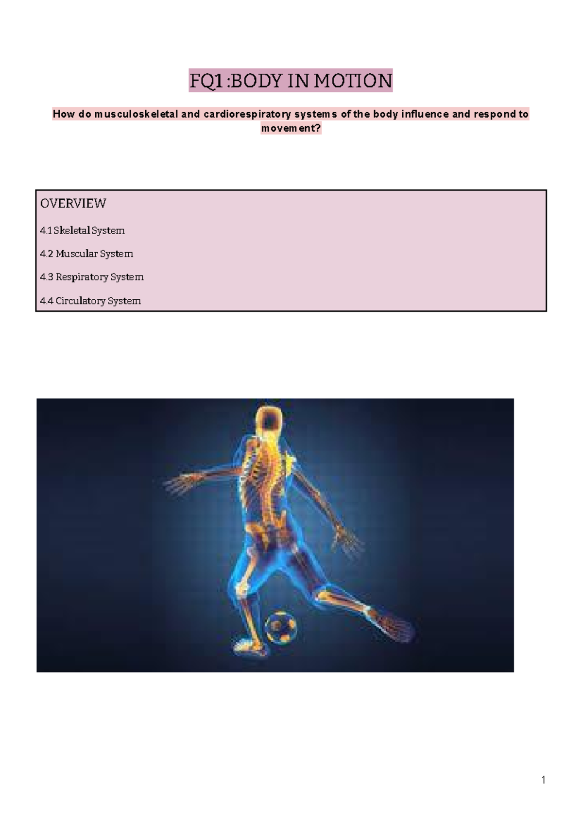 Core 2 - Body in Motion - FQ1 :BODY IN MOTION How do musculoskeletal ...