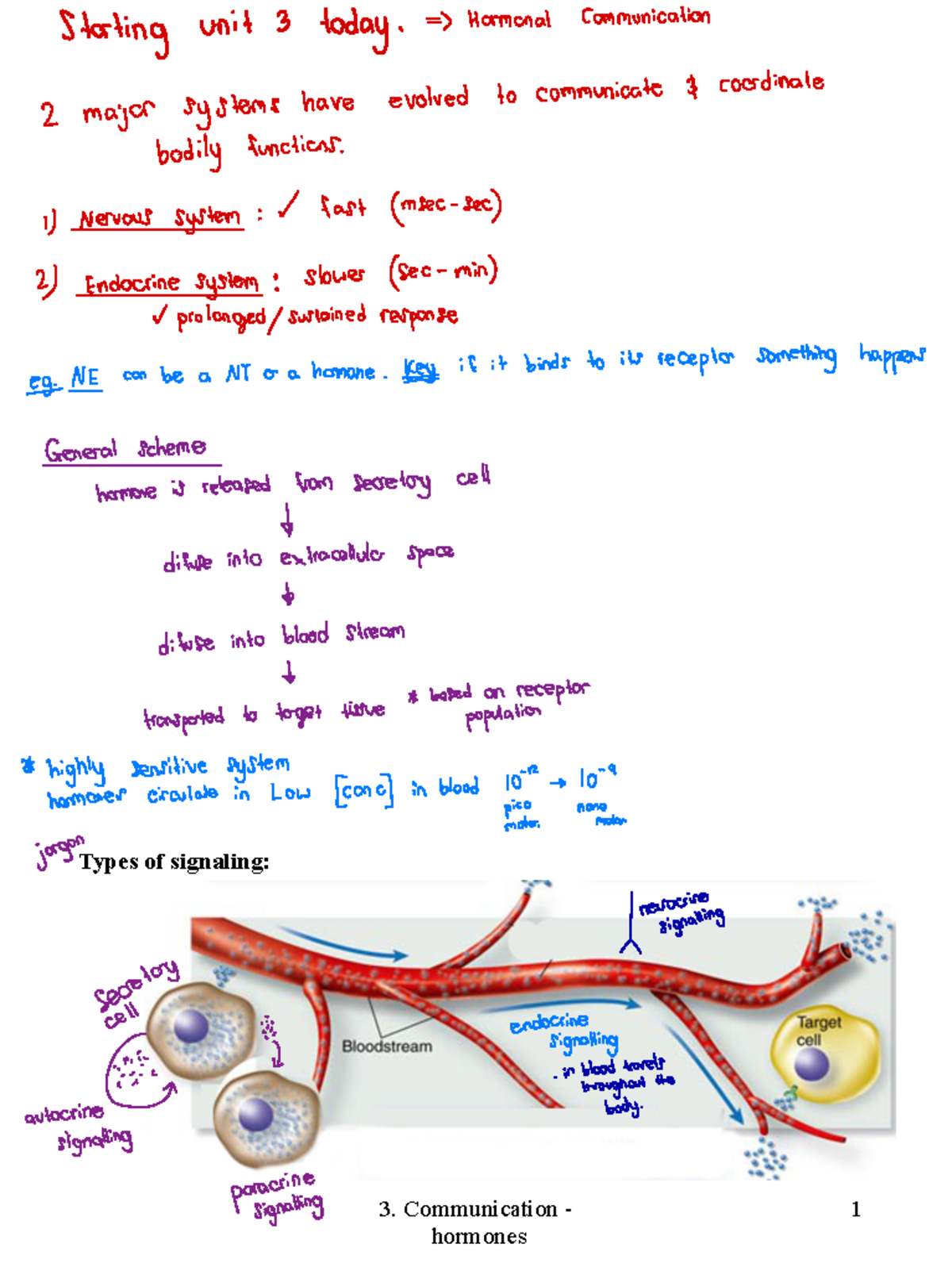3. Communication hormones 2020 - blank pages included - Communication ...