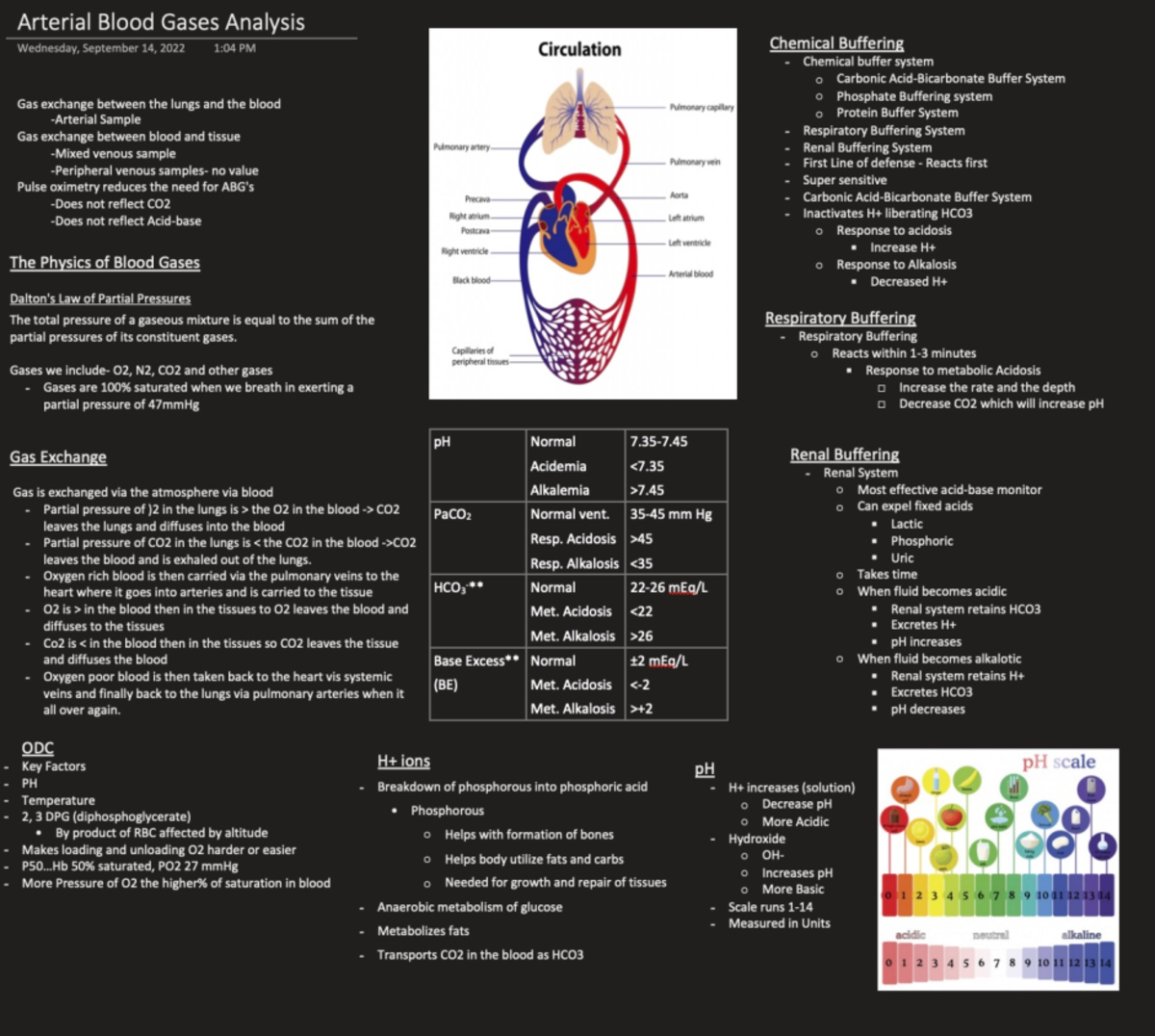 Arterial Blood Gases Analysis - B01-2210 - Studocu