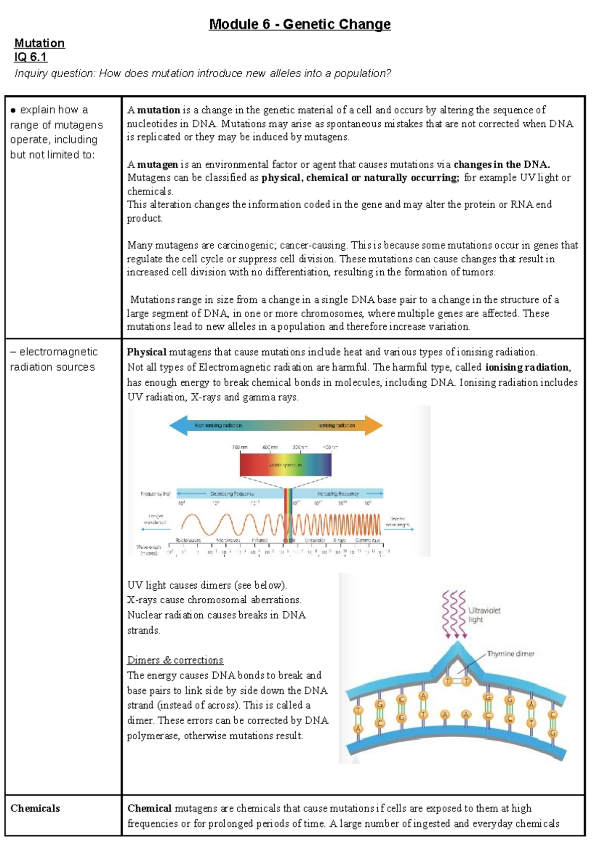 Bio mid year notes - Mutation IQ 6. Module 6 - Genetic Change Inquiry ...