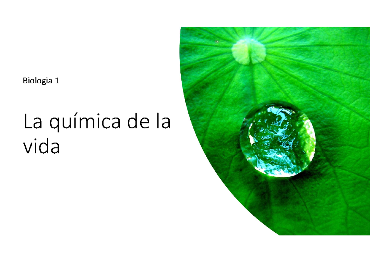 LA Química DE LA VIDA - La química de la vida Biologia 1 Objectius ...