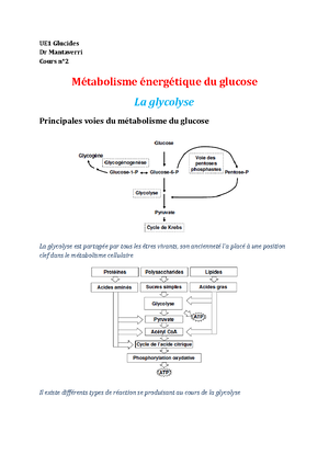1. Structures des oses et osides - UE1 Glucides Dr Mantaverri Cours n° Structure des oses et ...