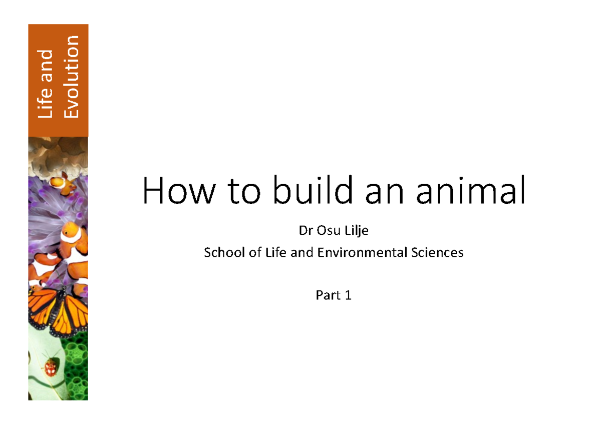 2023 How to build an animal - How to build an animal Dr Osu Lilje ...