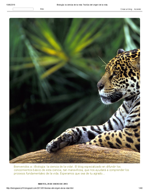 Actividad deriva génica - ACTIVIDAD DERIVA GENÉTICA ¿Cómo explica la ...