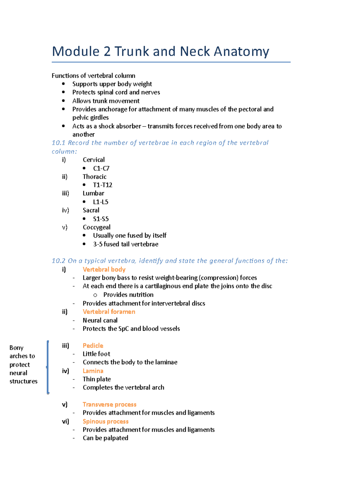 Module 2 Trunk and Neck Anatomy - Module 2 Trunk and Neck Anatomy ...