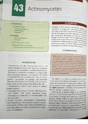 Prjct simi 123[55] - Significance of CA19/9 and serum bilirubin in ...