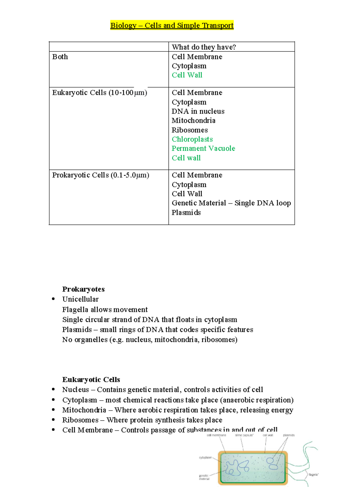 1. Cells and Simple Transport - Biology – Cells and Simple Transport ...