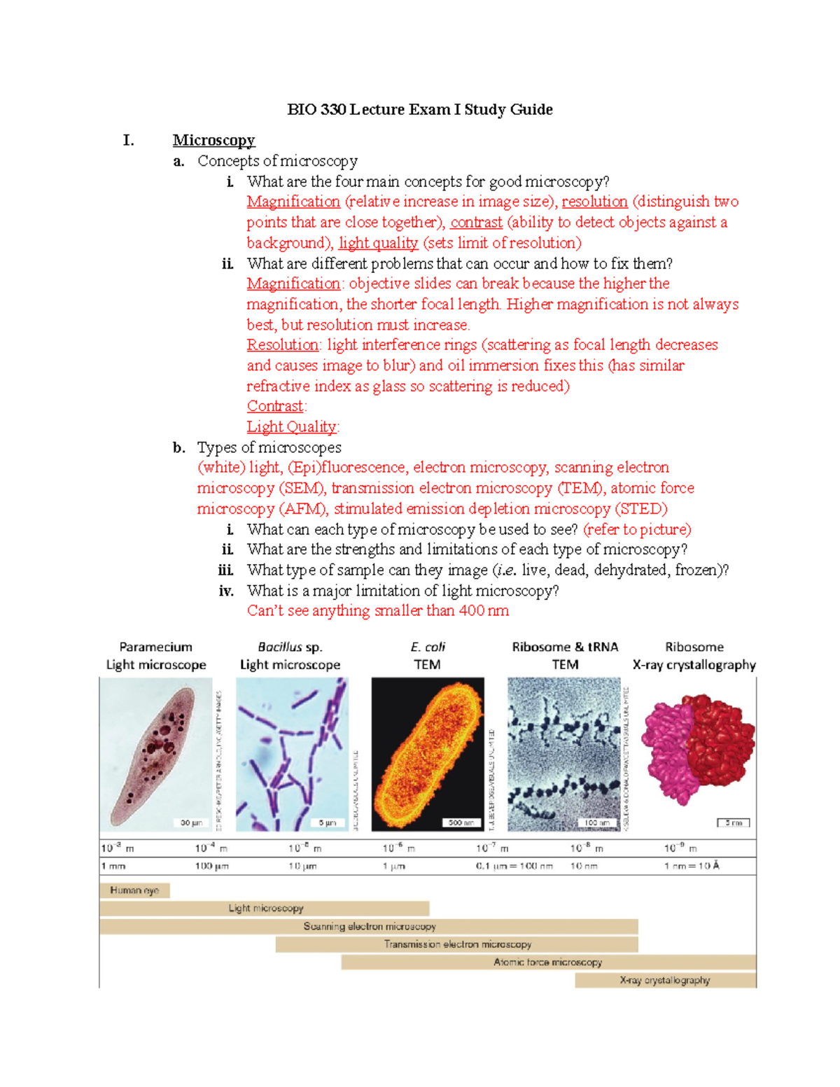 BIO 330 Lecture Exam I Study Guide - Microscopy a. Concepts of ...