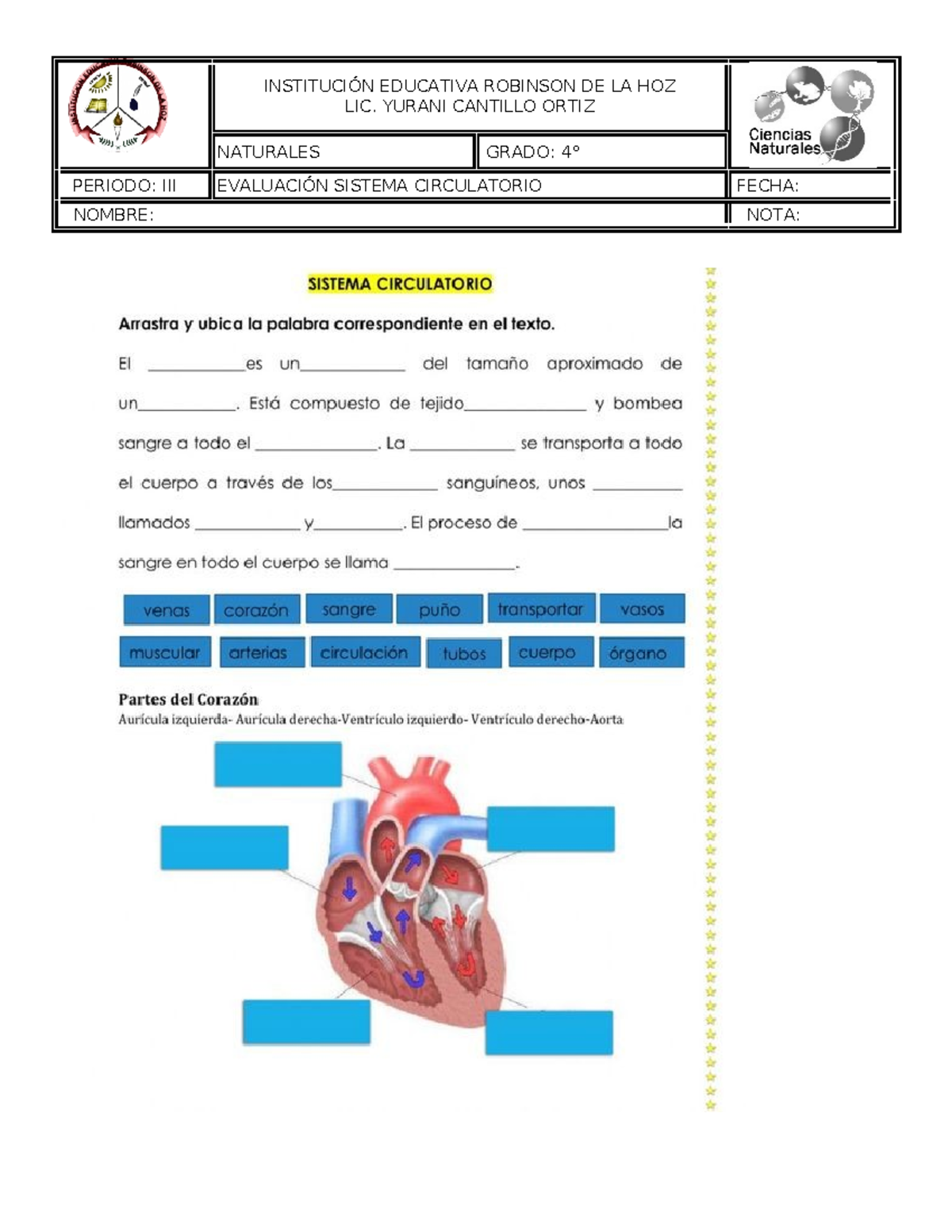 Actividad Sistema Circulatorio Humano - Licenciatura en Ciencias ...