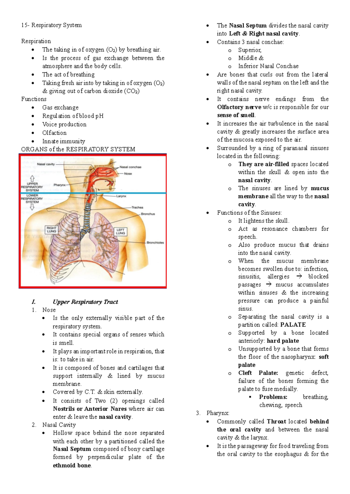 respiratory system - anaphy - 15 - Respiratory System Respiration - The ...
