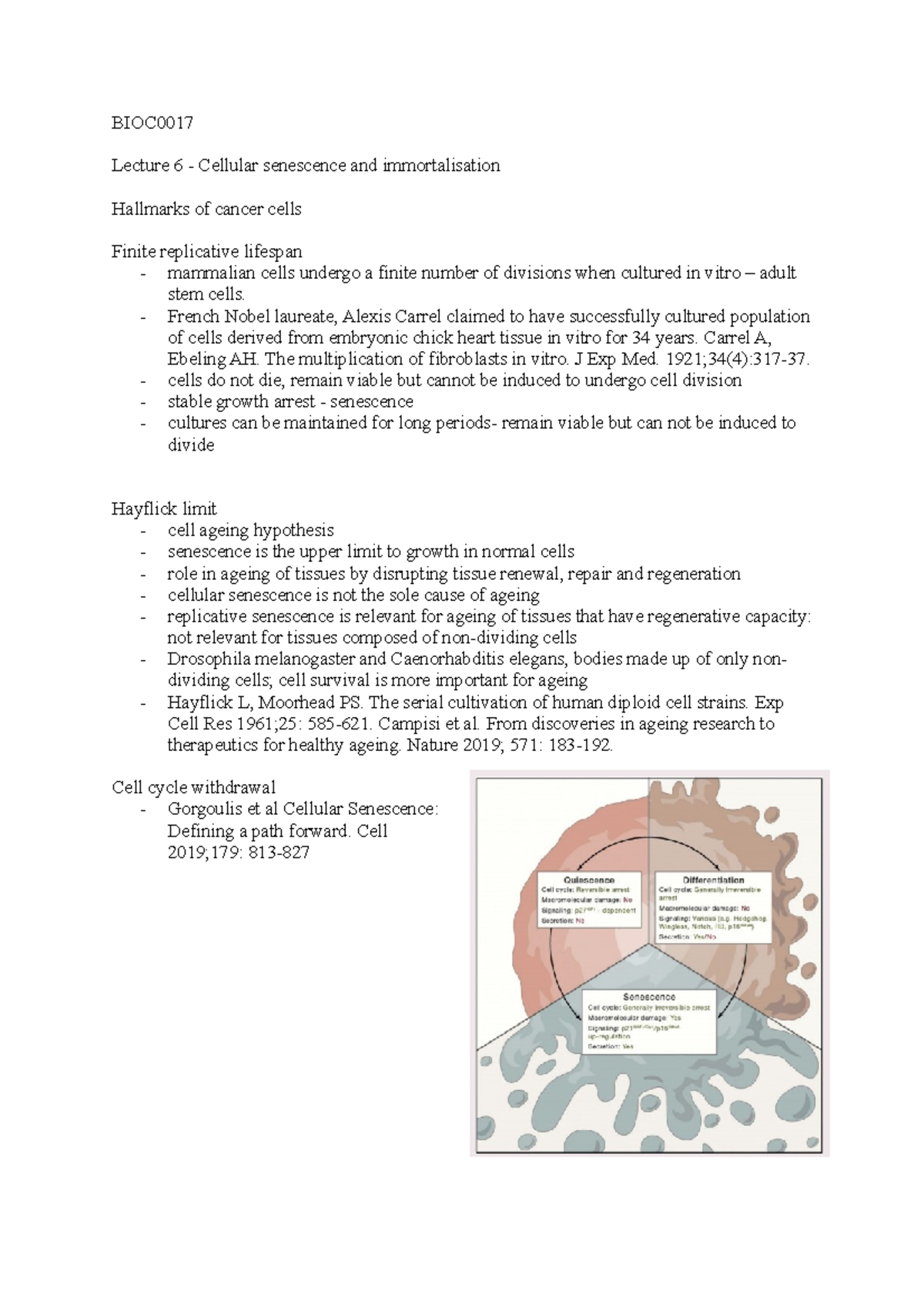 Lecture 6 b17 - BIOC Lecture 6 - Cellular senescence and immortalisation Hallmarks of cancer ...