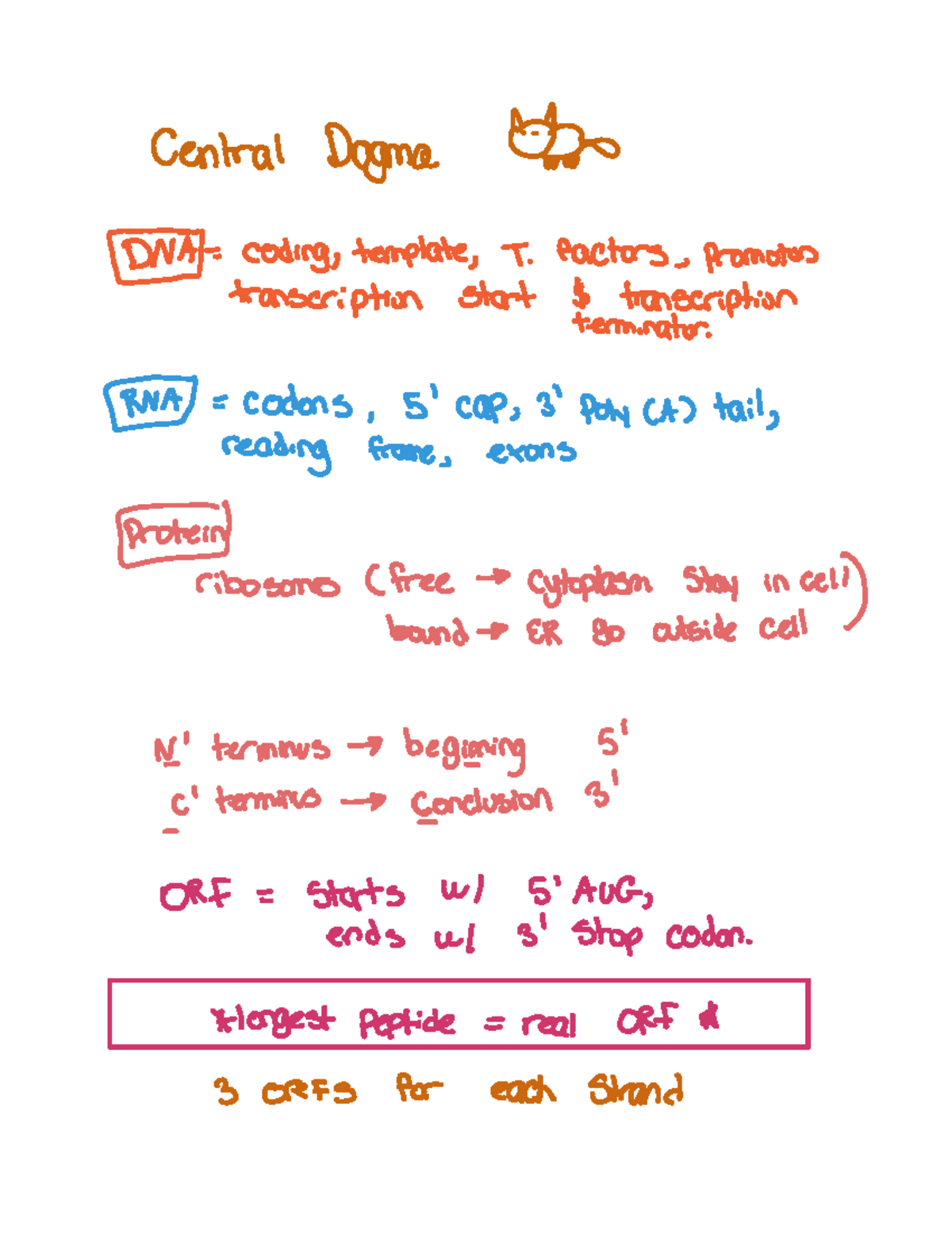 Final exam unit 3 - Review of lessons 15-21 of the course. Taken with ...